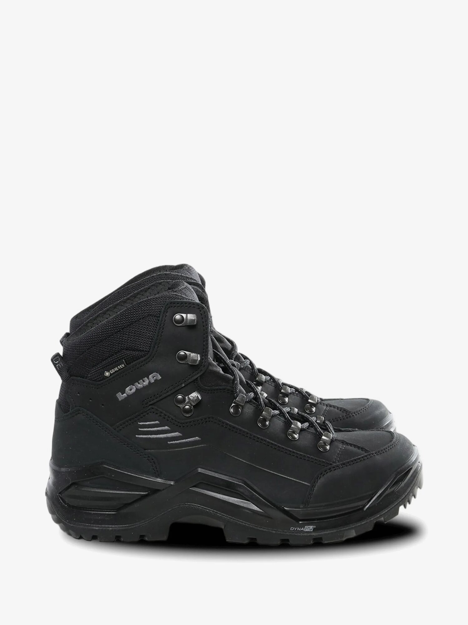 Ботинки RENEGADE EVO GTX
