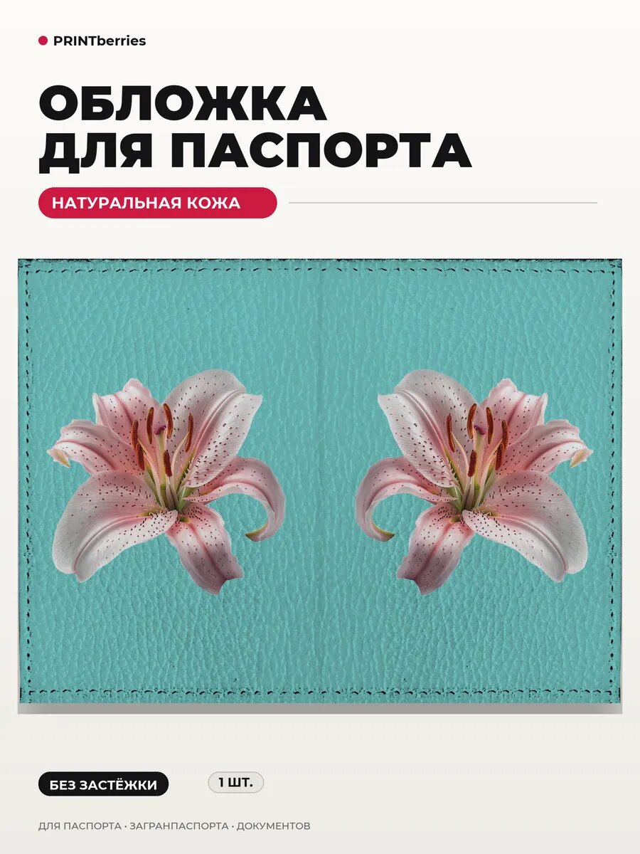 Обложка для паспорта PRINTBERRIES