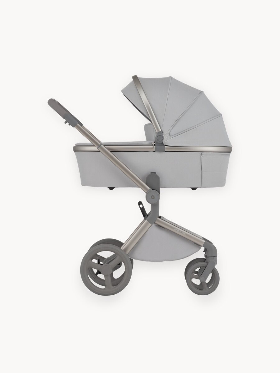 ANEX FLO коляска 2в1 Frossy (fl-06c)