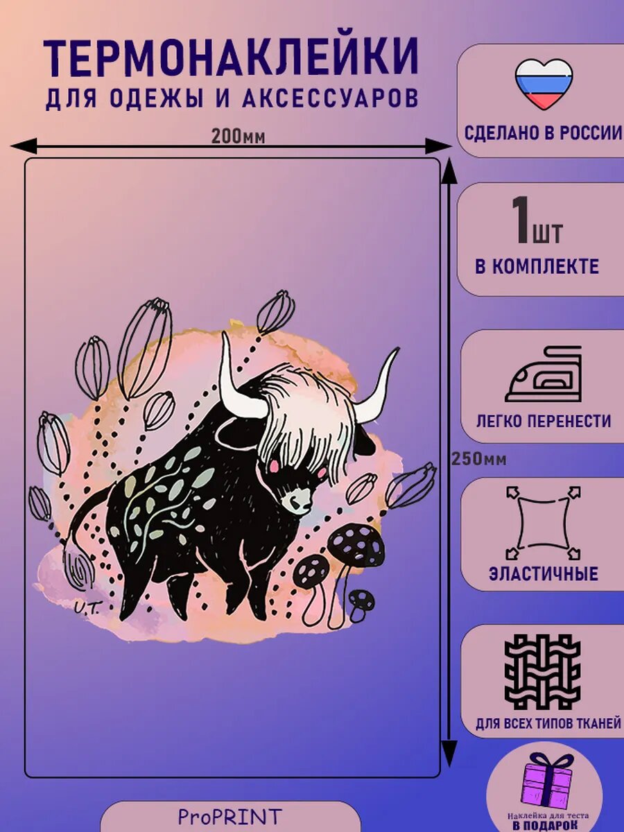 Термонаклейка на одежду