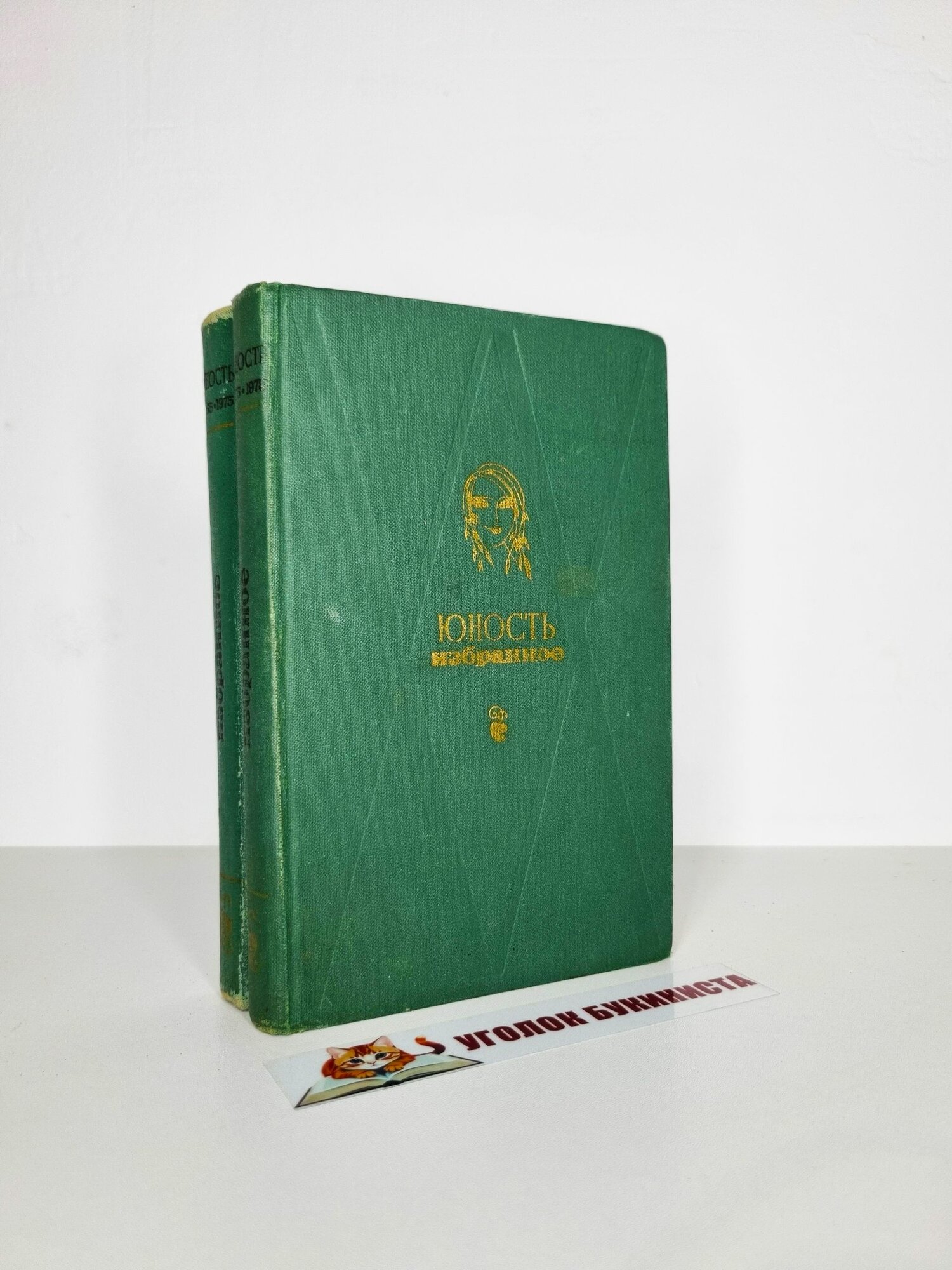 Юность. Избранное. XX. 1955-1975 (комплект из 2 книг)