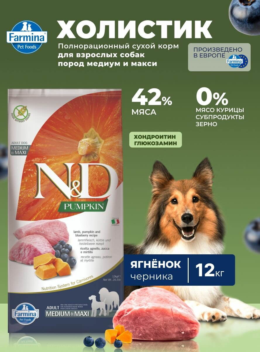 Cухой корм для взрослых собак Медиум Макси 12кг Ягненок беззерновой Farmina N&D Pumpkin Н&Д Тыква ягненок с черникой