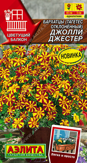 Семена бархатцев аэлита "Джолли Джестер", отклоненные, однолетние, высота 40см