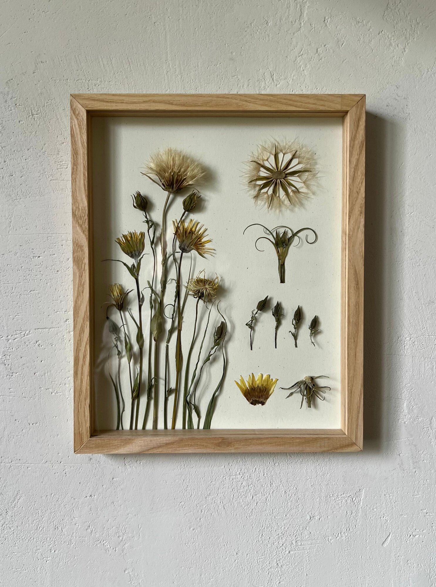 Ботаническое панно из натуральных растений в глубокой рамке 27,5х22,5 см. / Olya_klever
