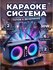 Караоке-система