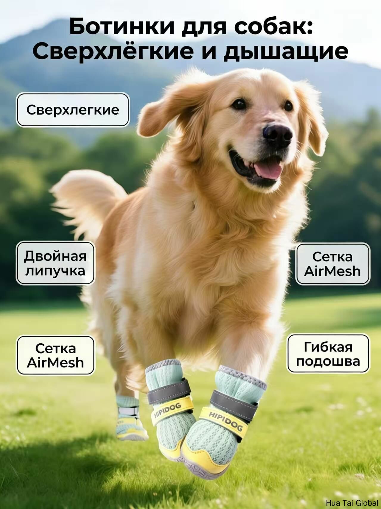 Обувь для собак