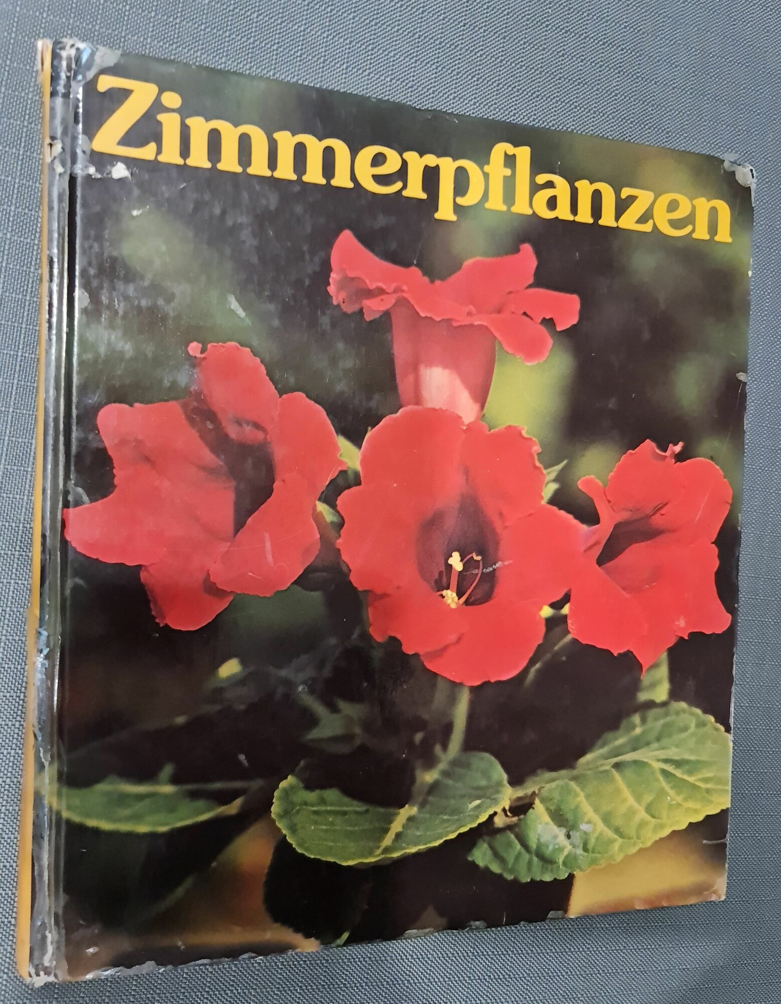 Thomas Editha Zimmerpflanzen (Комнатные растения), уход и выращивание, энциклопедия, Германия, 1978