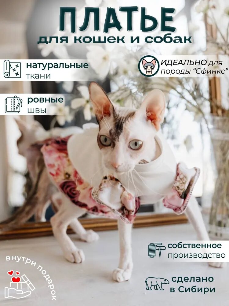 Одежда для кошек платье для котят и кошек от бренда "Тиссо"