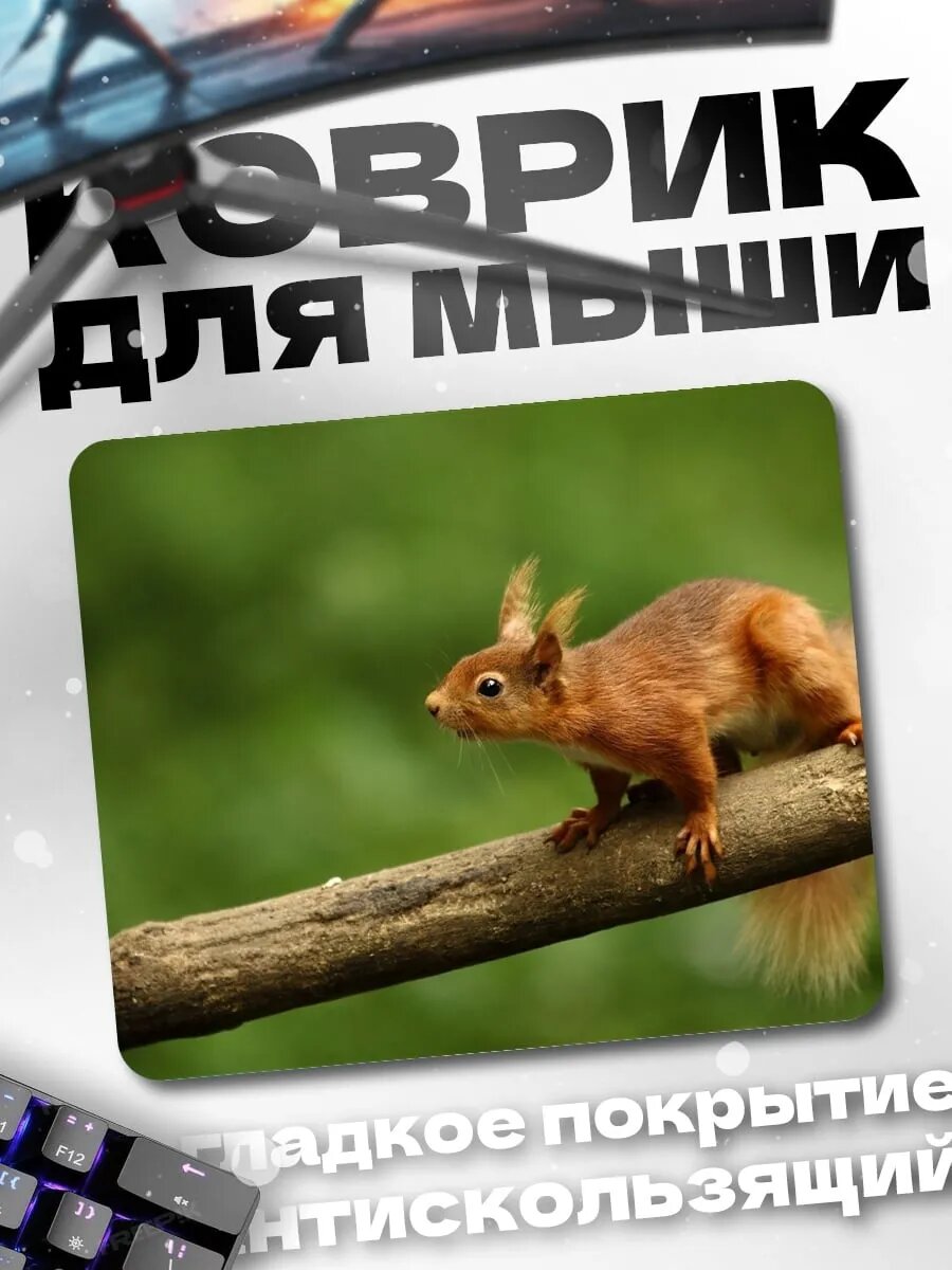 Коврик для мыши Белка на ветке