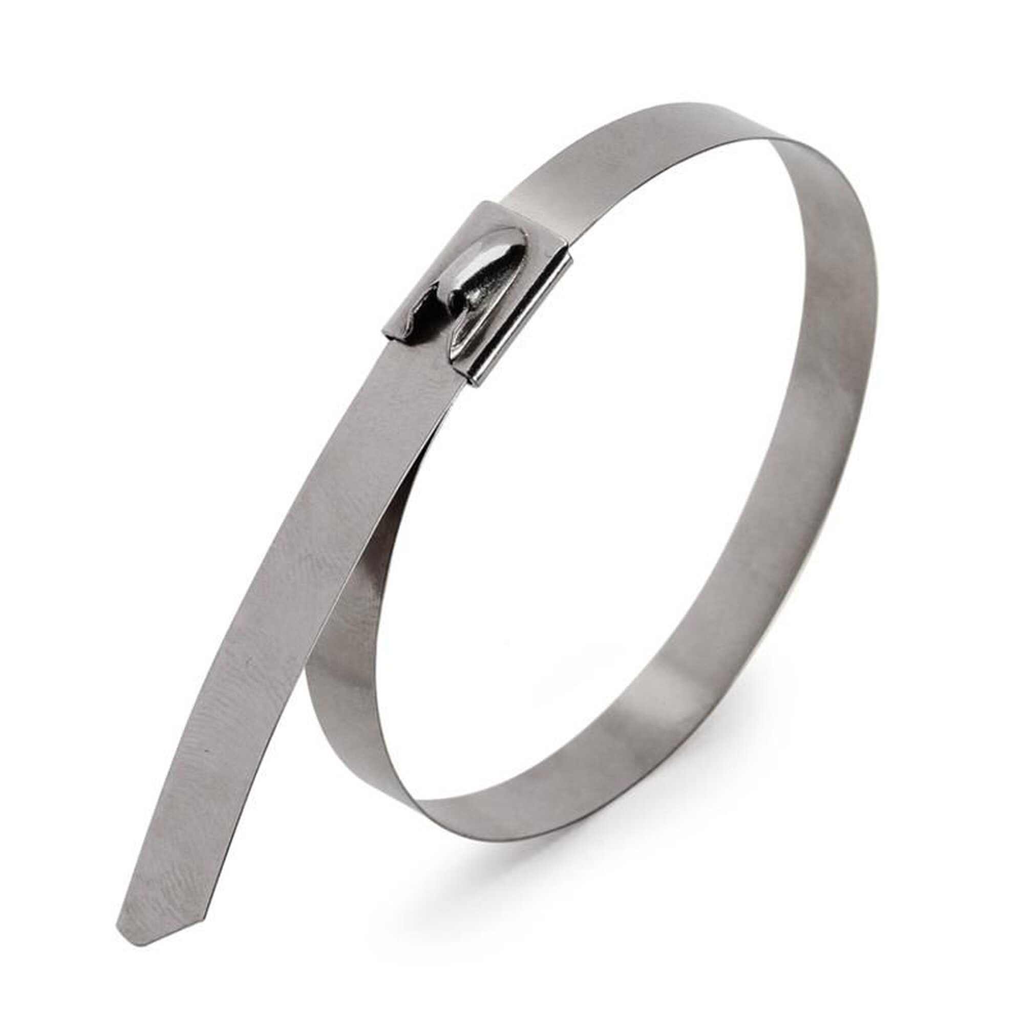 Fortisflex Стяжки крепежные из нержавеющей стали AISI 304 4.6х200
