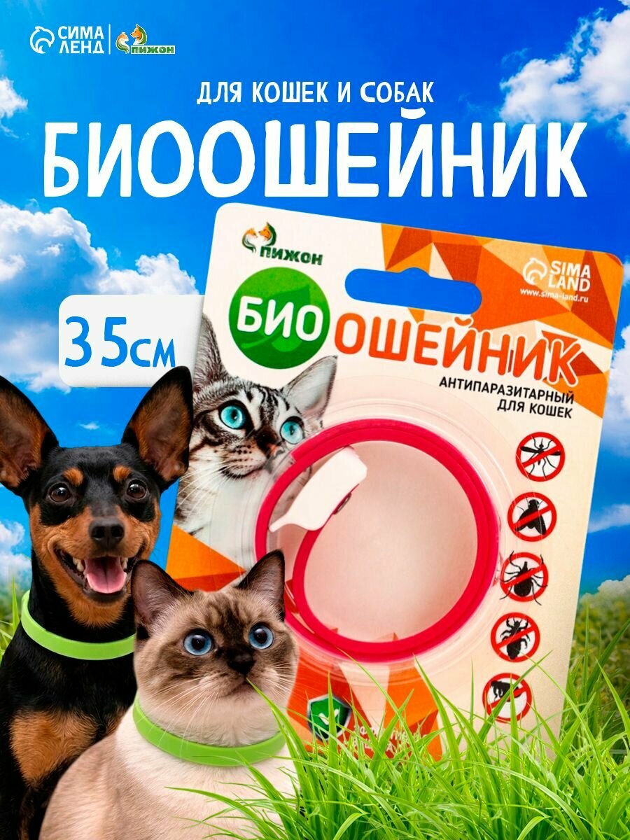 Ошейник против блох и клещей для кошек и собак, 35 см, красный, 1 шт противоблошиный ошейник ошейник от клещей ошейник для кошек и собак