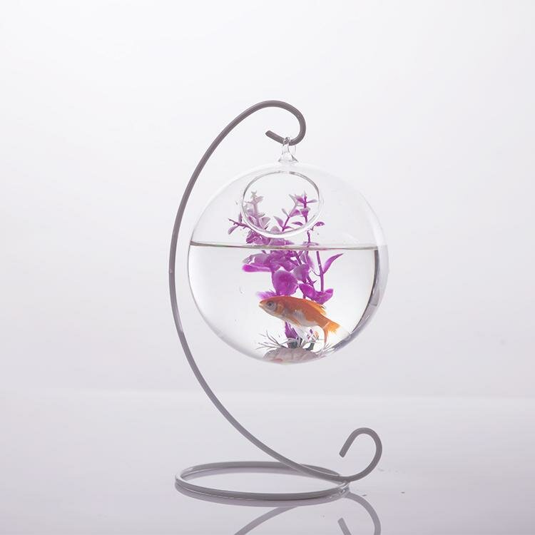 Product 53001043