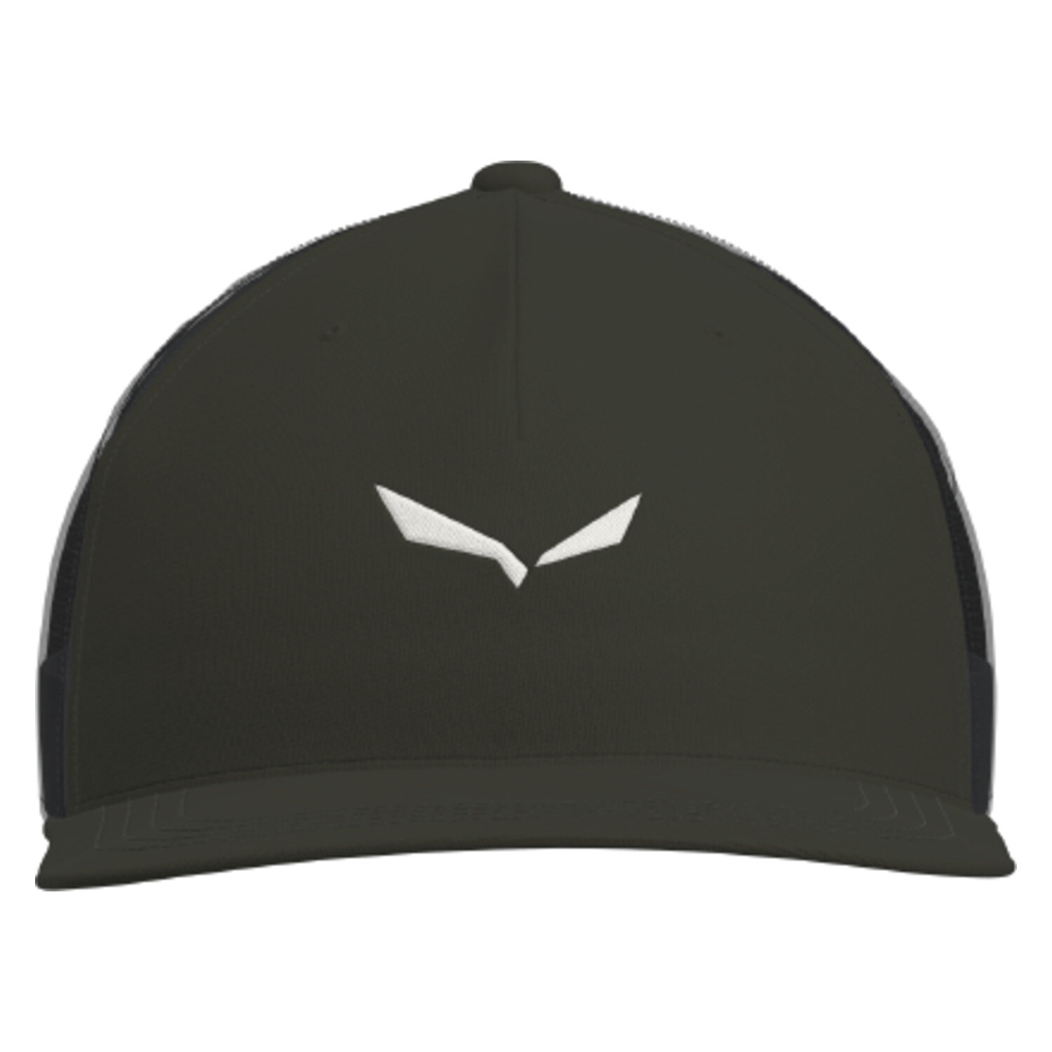 Бейсболка Salewa Eagle logo mesh для мужчин, размер OneSize, зеленый — фото 1