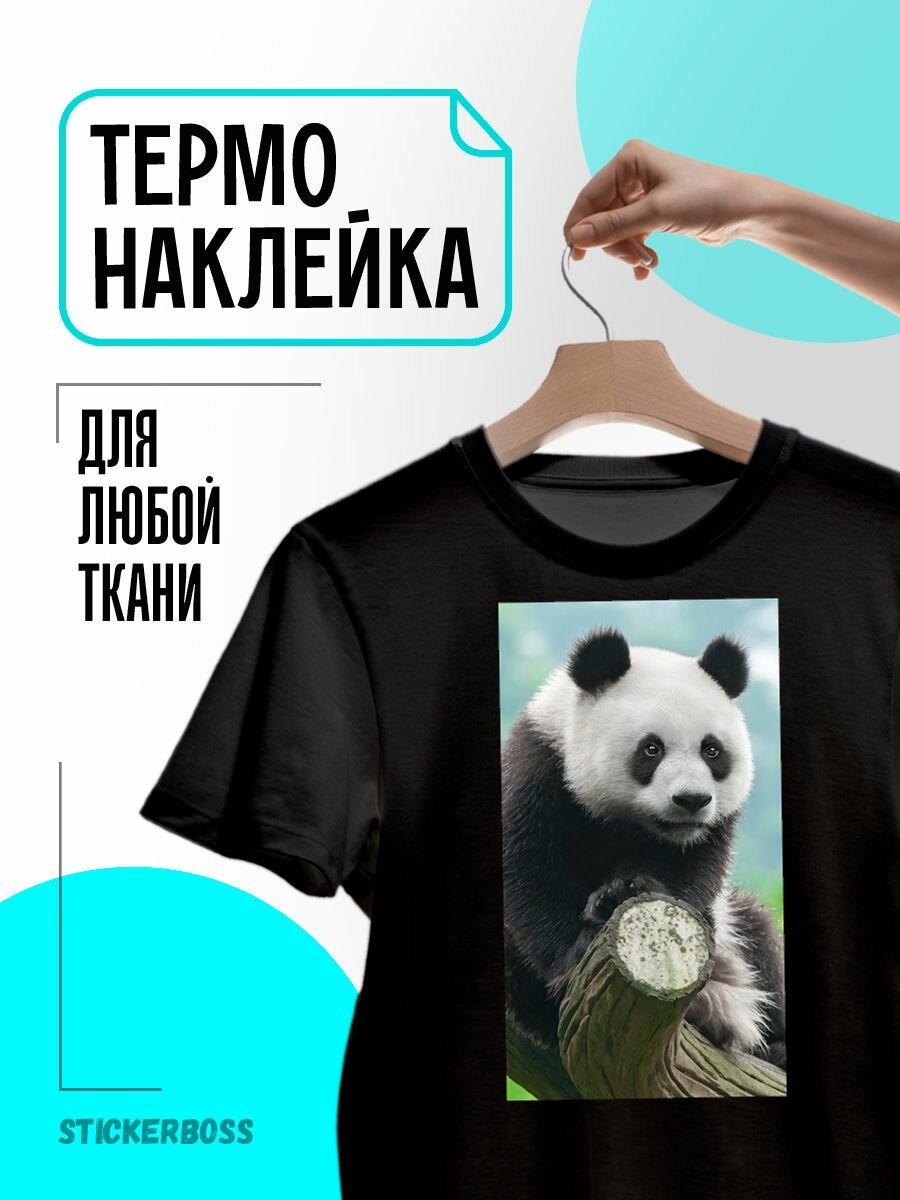 Термонаклейка термотрансфер на одежду панда