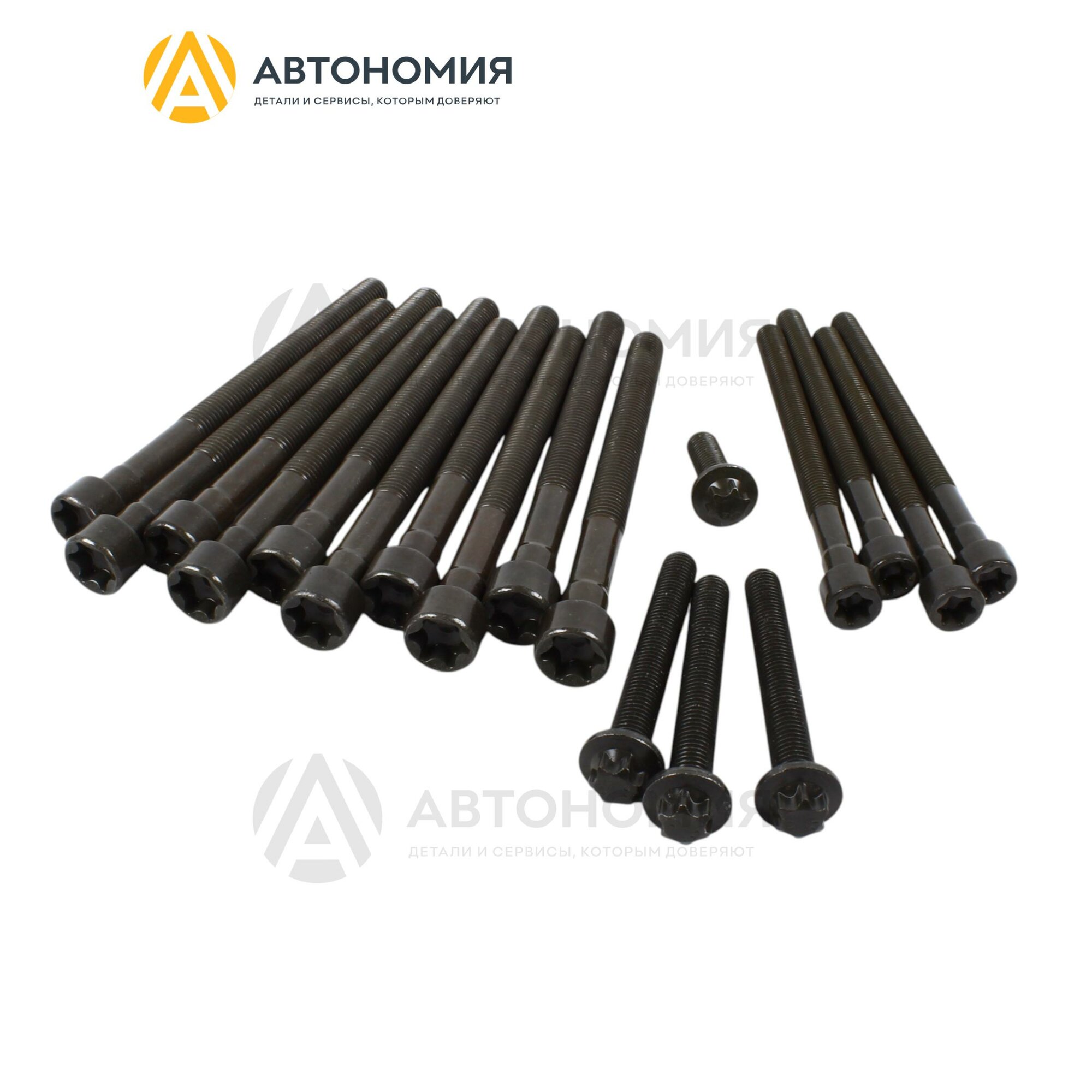 Комплект болтов головки блока цилиндров BMW 11 12 7 574 303