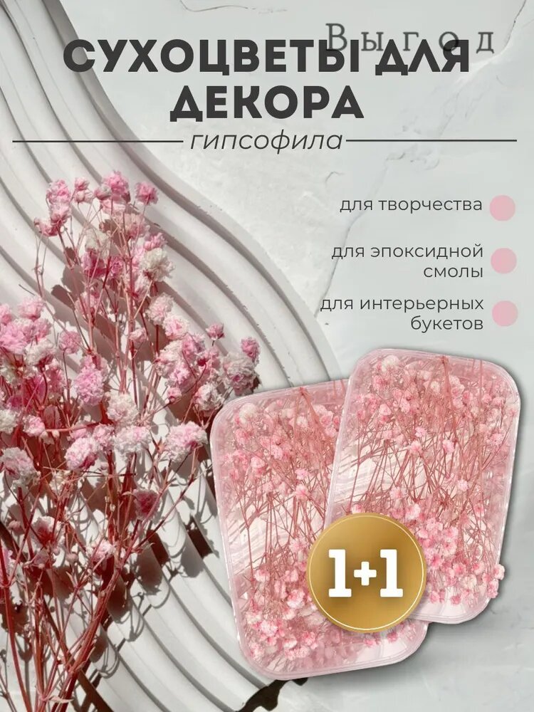Сухоцветы Гипсофила, 2 шт