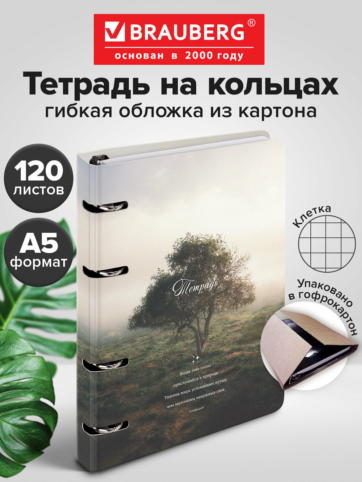 Тетрадь на кольцах А5 в клетку со сменным блоком 160х212 мм, 120 листов, обложка картон, Brauberg Nature, 404728