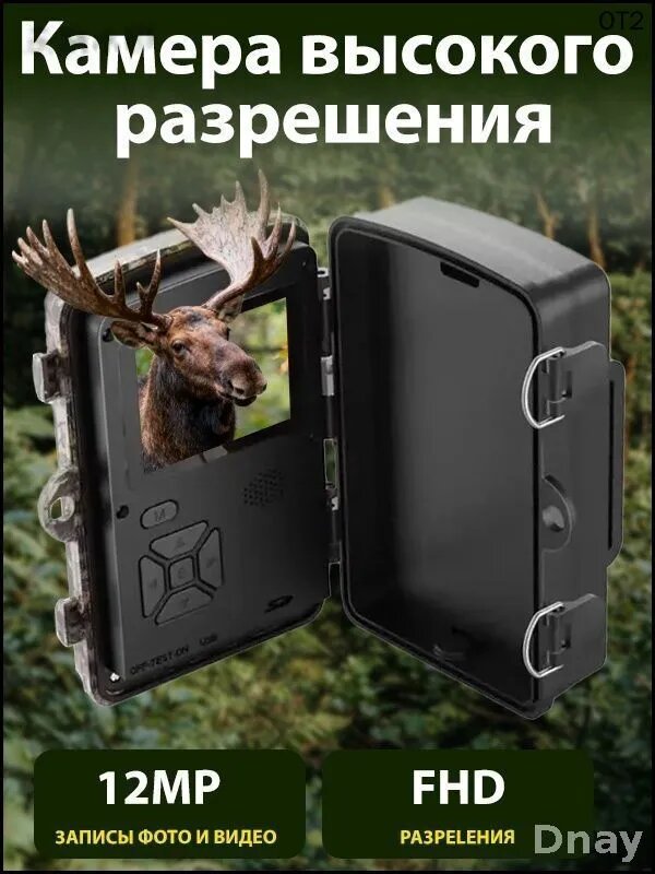 Фотоловушка — фото 1