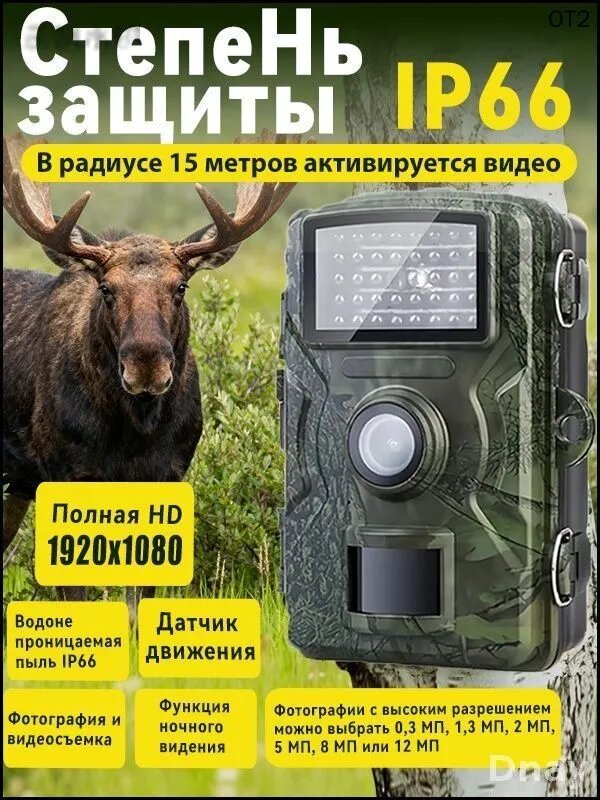 Фотоловушка