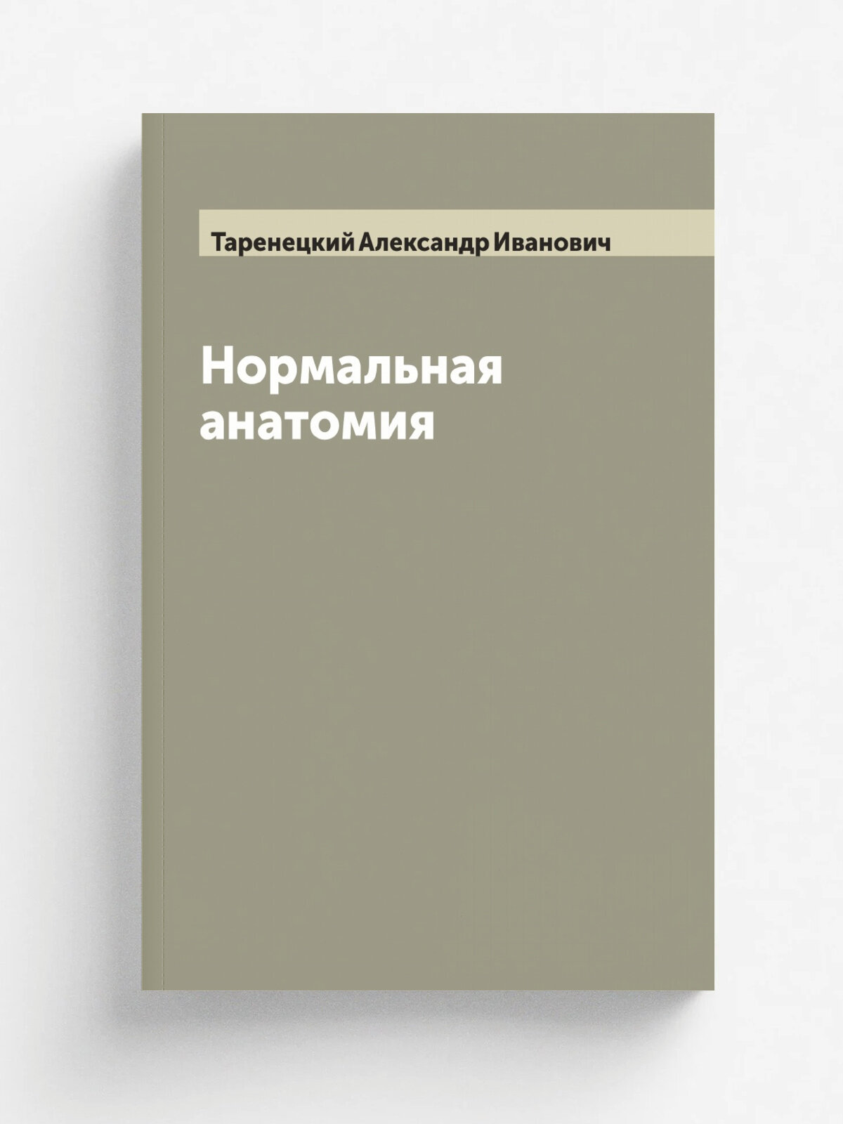 Нормальная анатомия