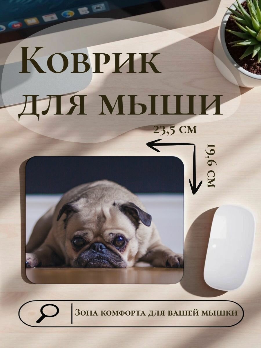 Коврик для мыши милый мопс прорезиненный 230x195 мм подарок