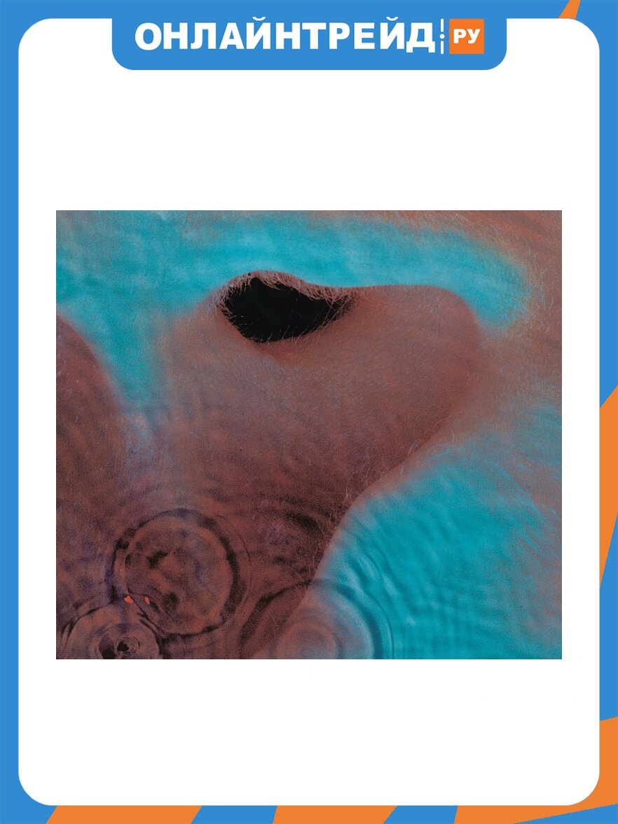 Компакт-диск Sony Music Pink Floyd - Meddle (Standard Edition)