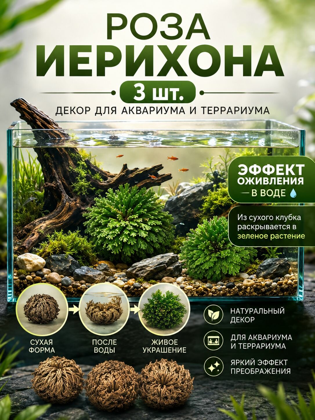 3 живые водные растения