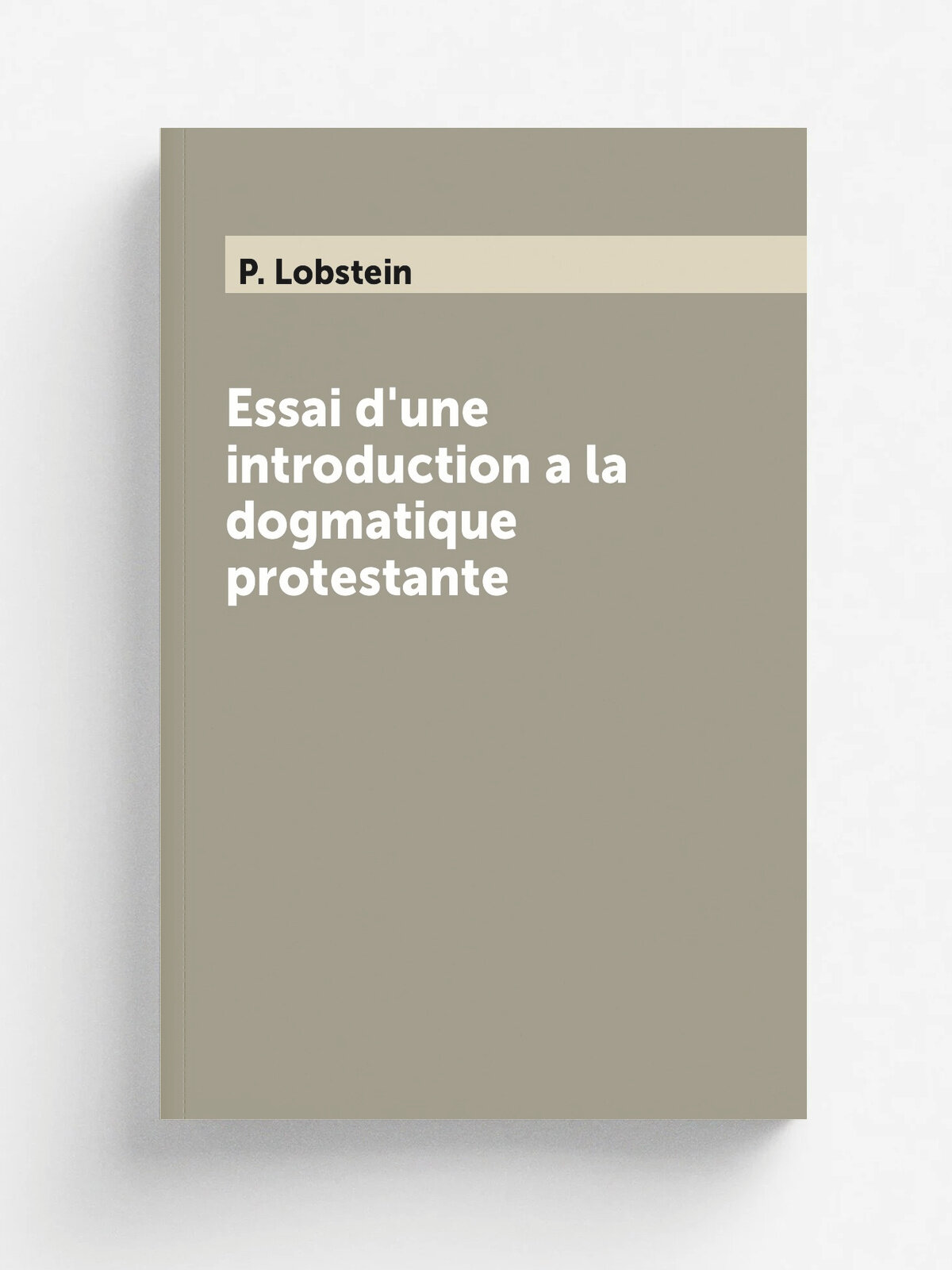 Essai d'une introduction a la dogmatique protestante