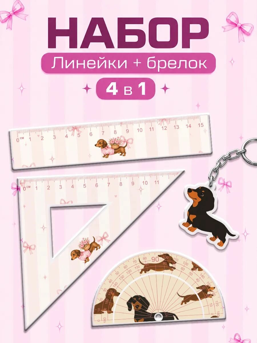 Канцелярия для школы набор линеек таксы