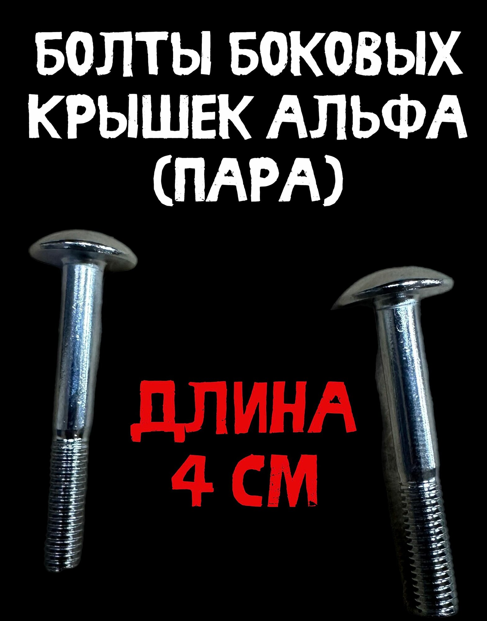 Болты креплений боковых крышек Альфа (пара)