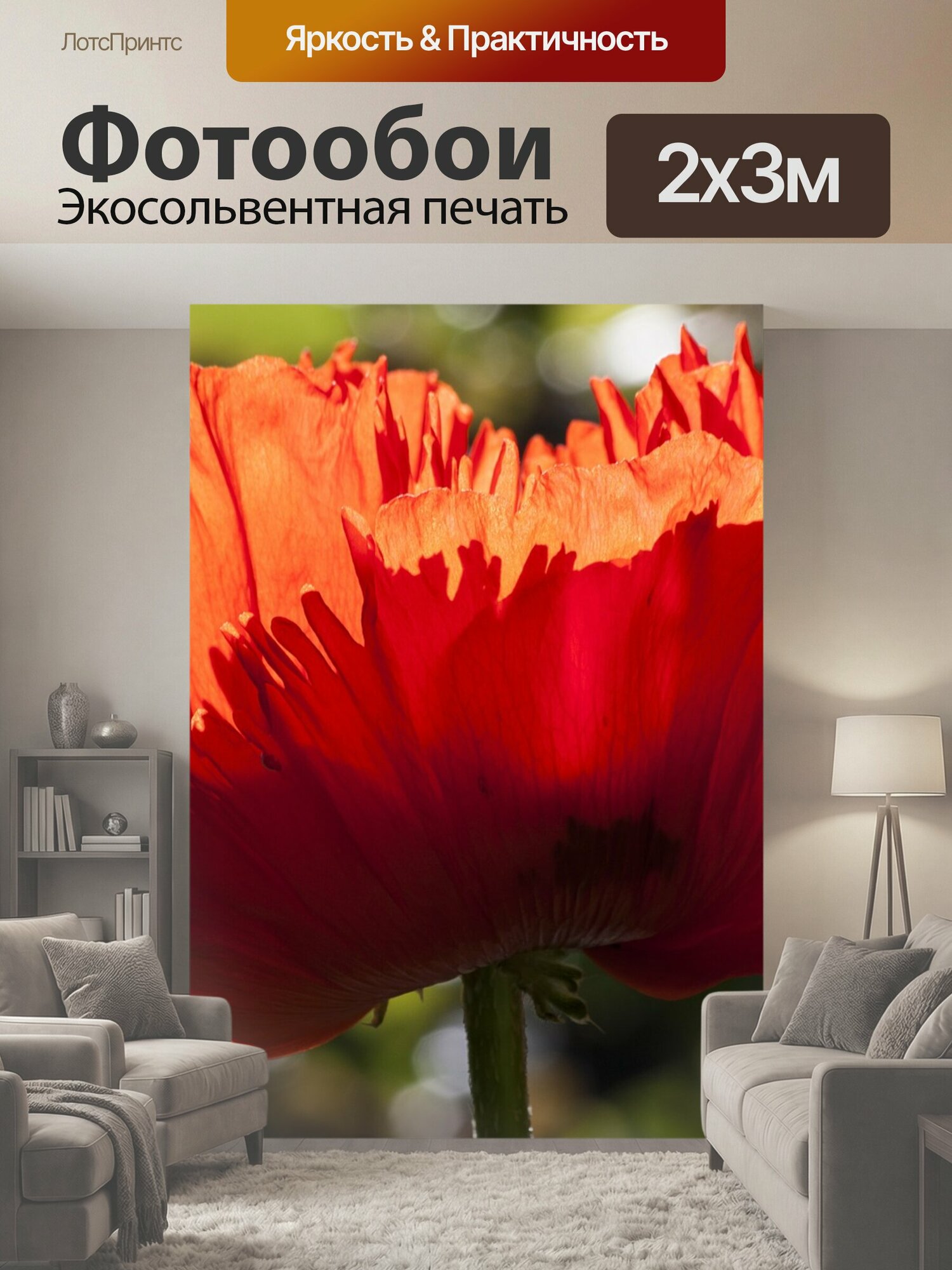 Фотообои "Декоративные маки, полурозеточное растение, цветок" 200x300 см. экосольвентная печать