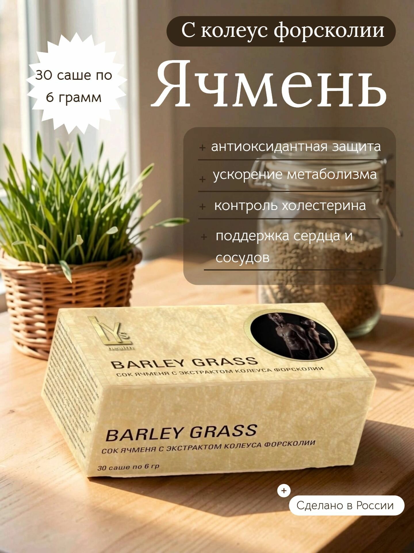 Натуральный тестобустер Порошок-концентрат "Сока ячменя" с экстрактом Колеус Форсколии и хлорофиллом