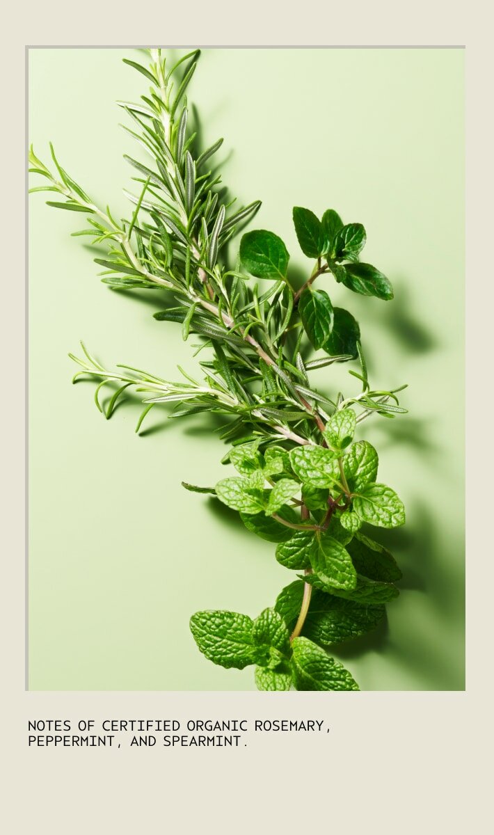 Кондиционер для волос Aveda rosemary mint weightless conditioner 50мл — фото 1