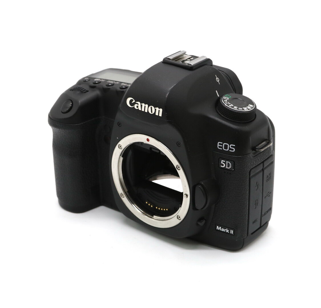 Canon EOS 5D Mark II body (пробег 110080 кадров)