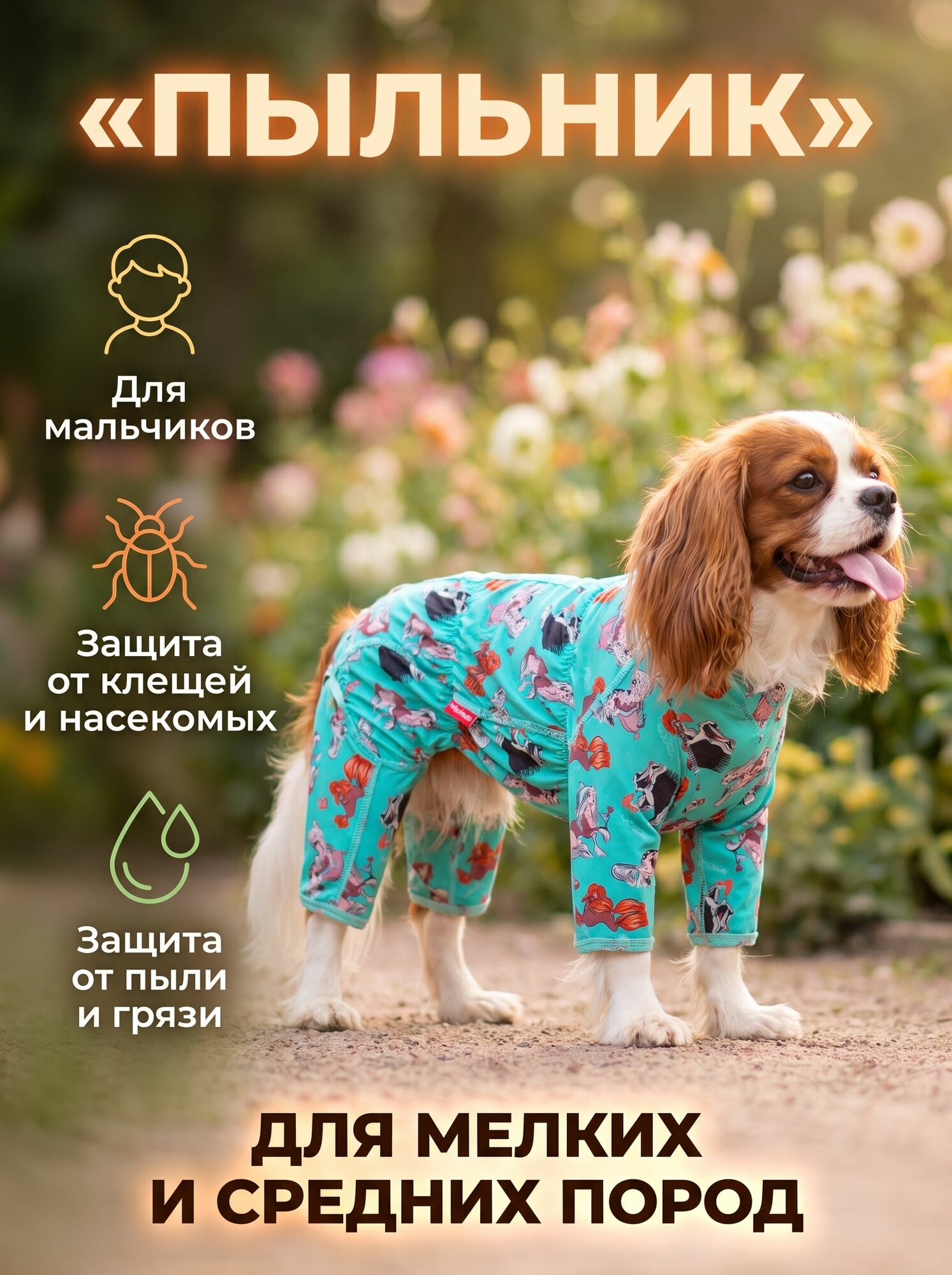 Пыльник для собак мальчиков (мелкие и средние породы)