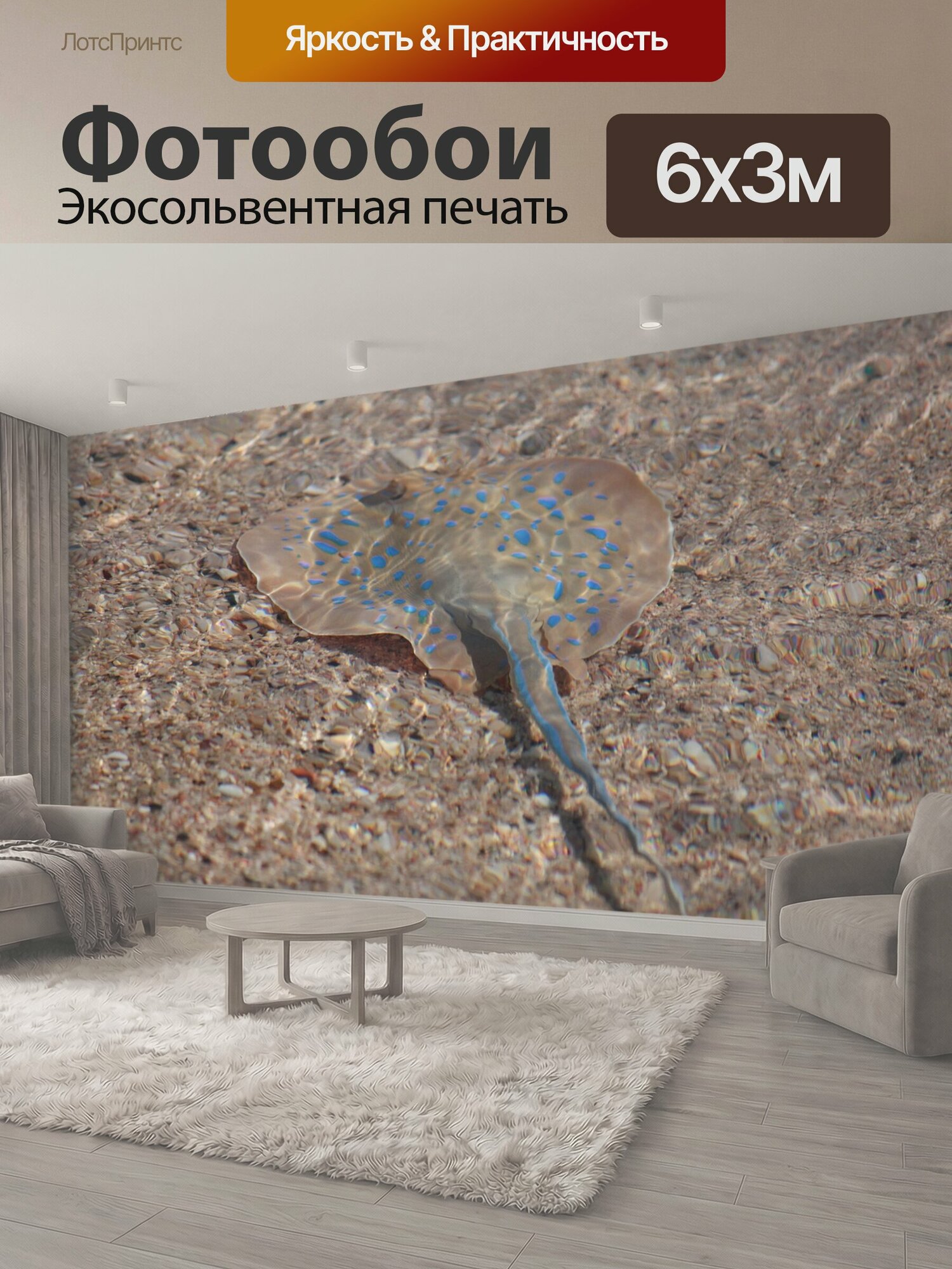 Фотообои "Скат с синими пятнами, taeniura lymma, скат" 600x300 см. экосольвентная печать