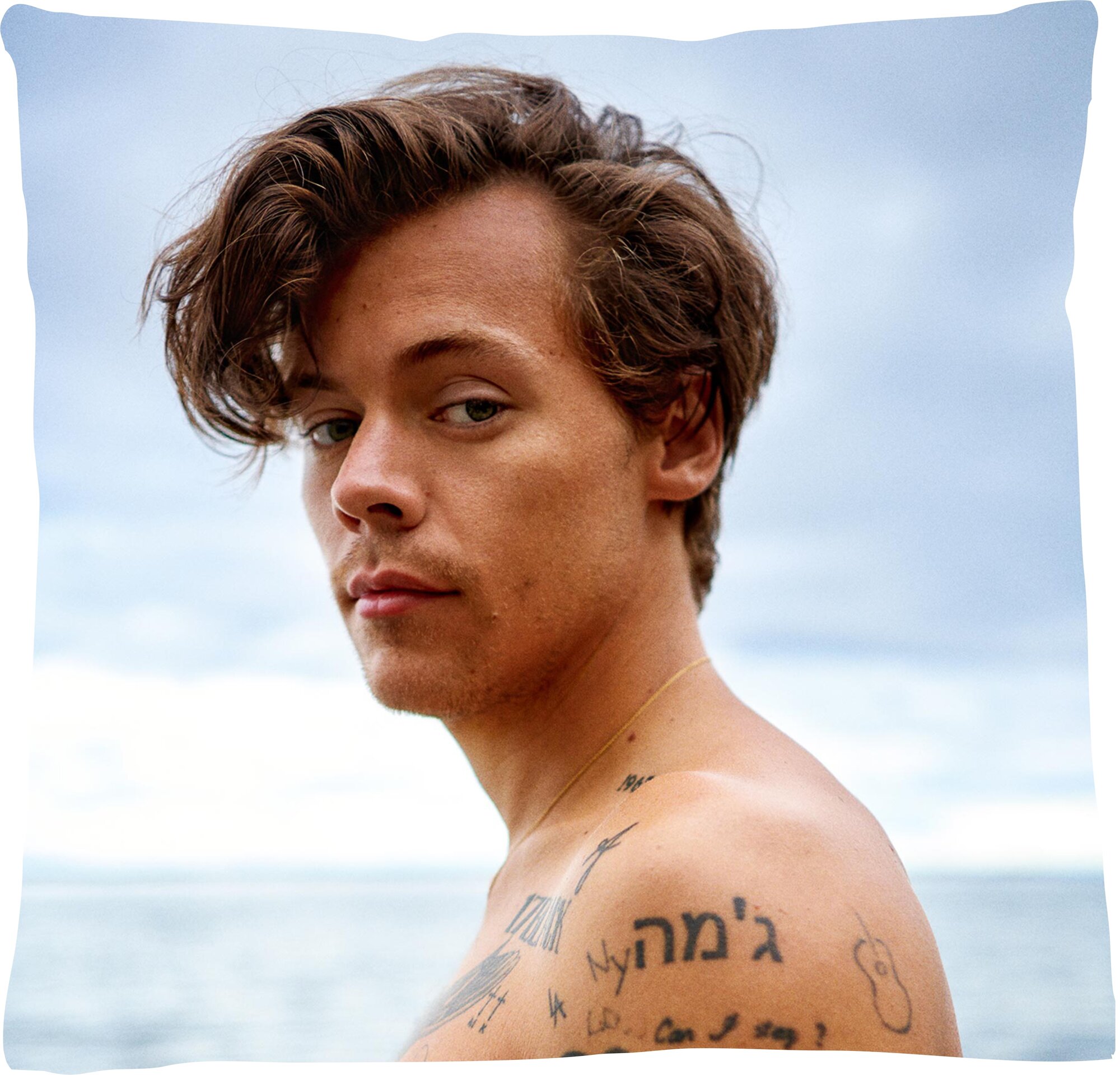 Подушка квадратная Harry Styles Гарри Стайлс
