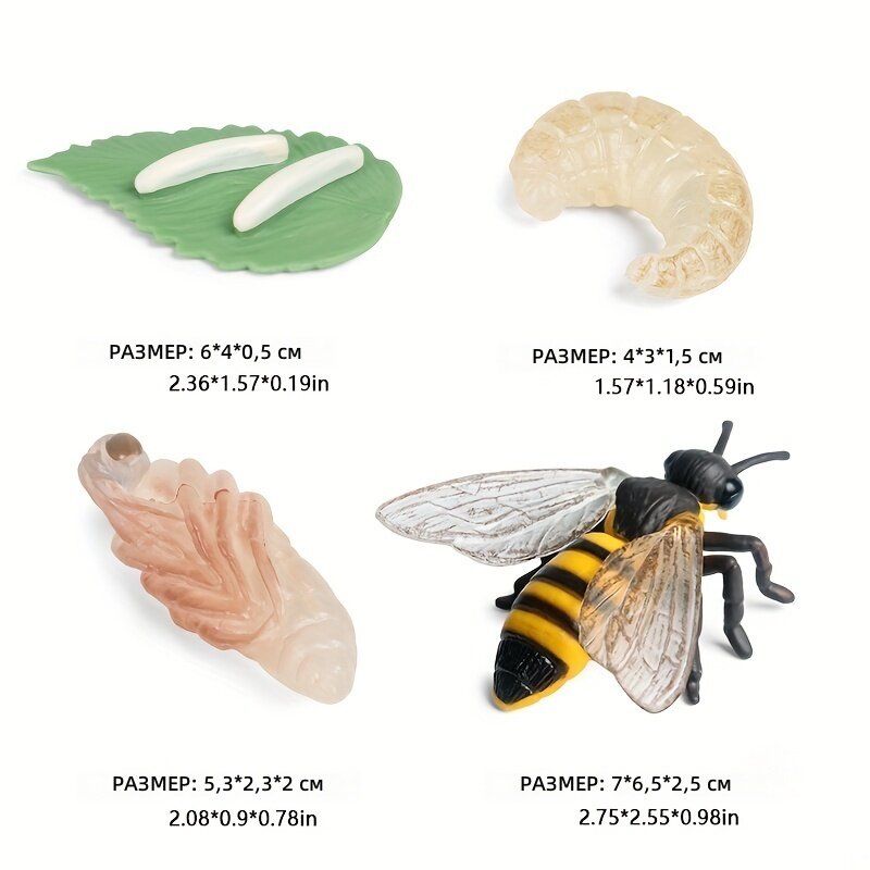 Набор моделей жизненного цикла пчелы New Bee для детей, реалистичные стадии развития пчелы, подарок для вечеринки на тему насекомых