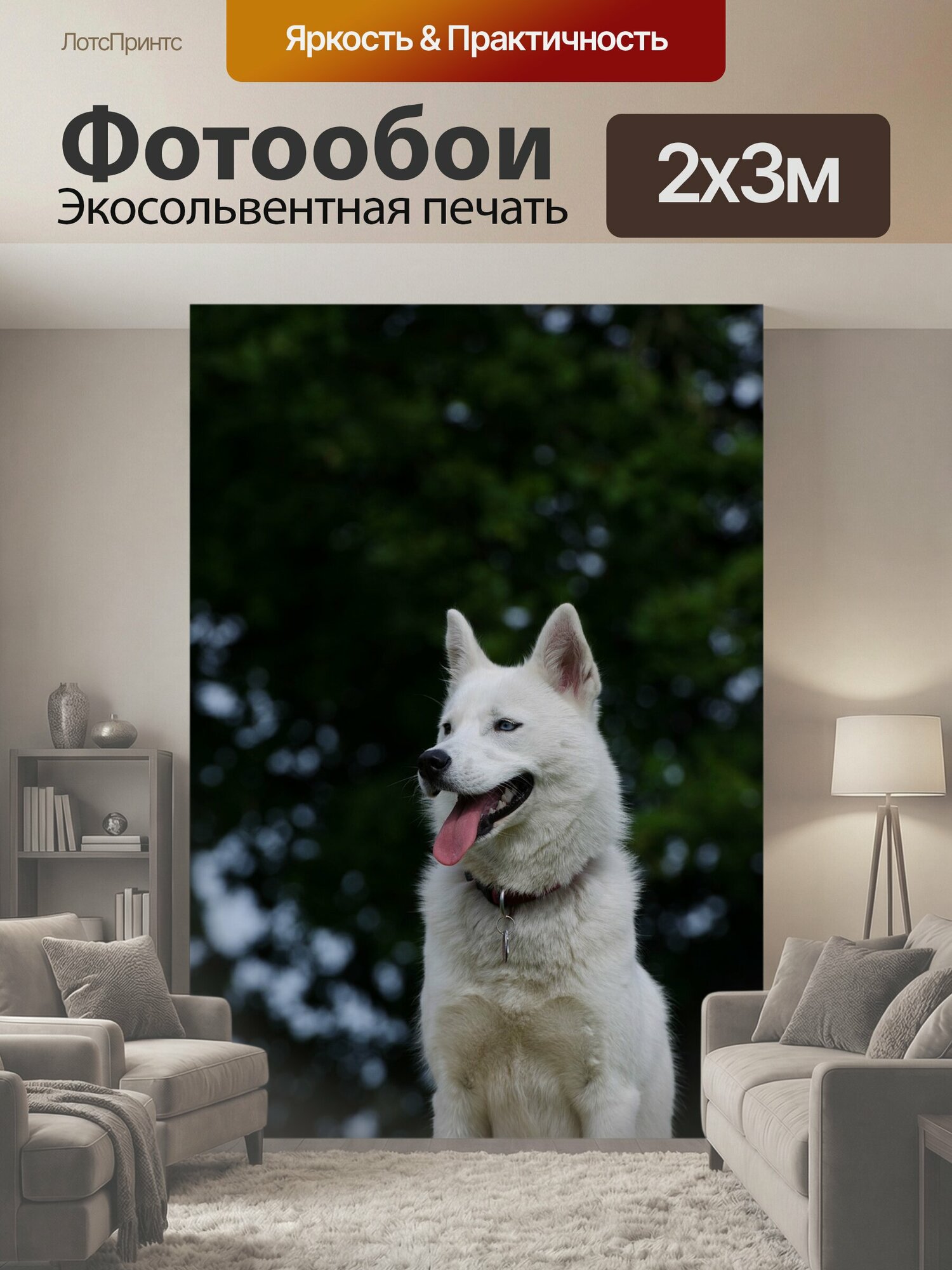 Фотообои "Хаски, белый, ездовая собака" 200x300 см. экосольвентная печать