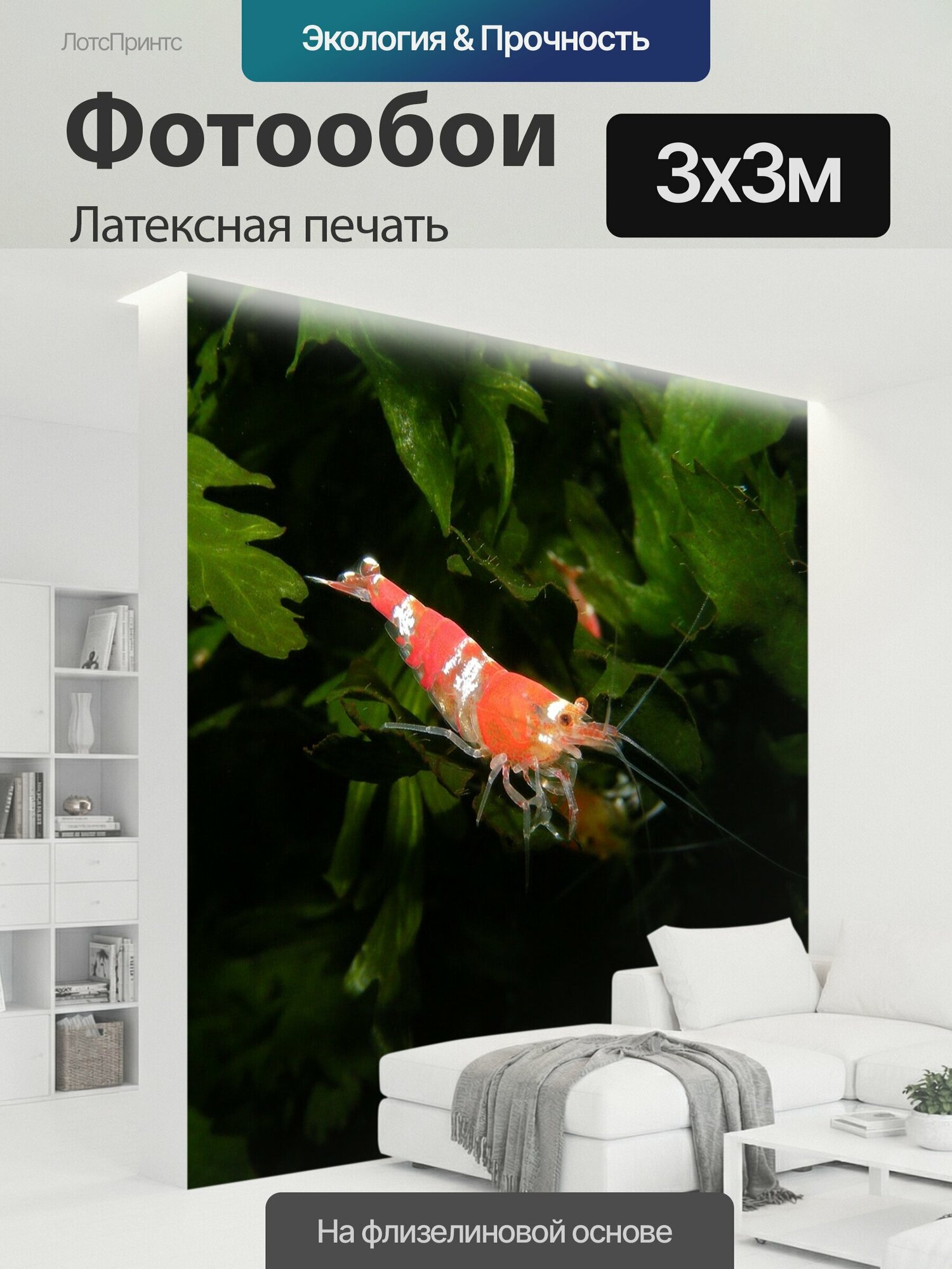 Фотообои моющиеся ударопрочные "Креветка, аквариум, существо" 300x300 см. латексная печать