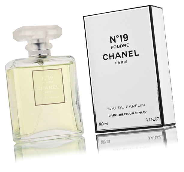 Женский парфюм Шанель 19 Пудре 100 мл / Chanel No 19 Poudre аромат