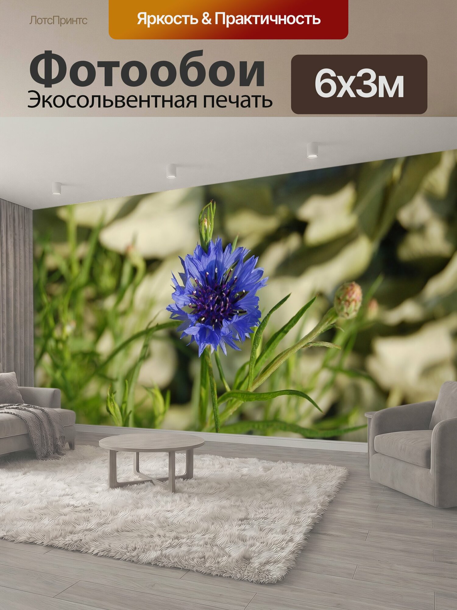 Фотообои "Василек, природа, цветок" 600x300 см. экосольвентная печать