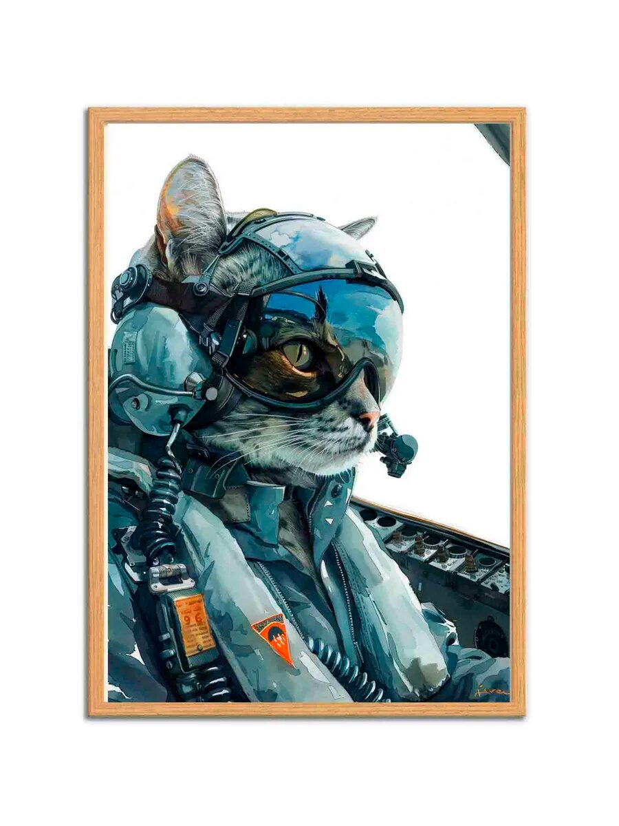 Пилот Korat Cat 1, Плакат 30x42см