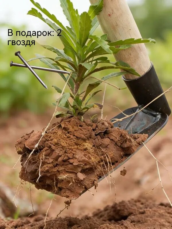 Тяпка 30 см рукоять, 12.5 см ширина, высокоуглеродистая сталь