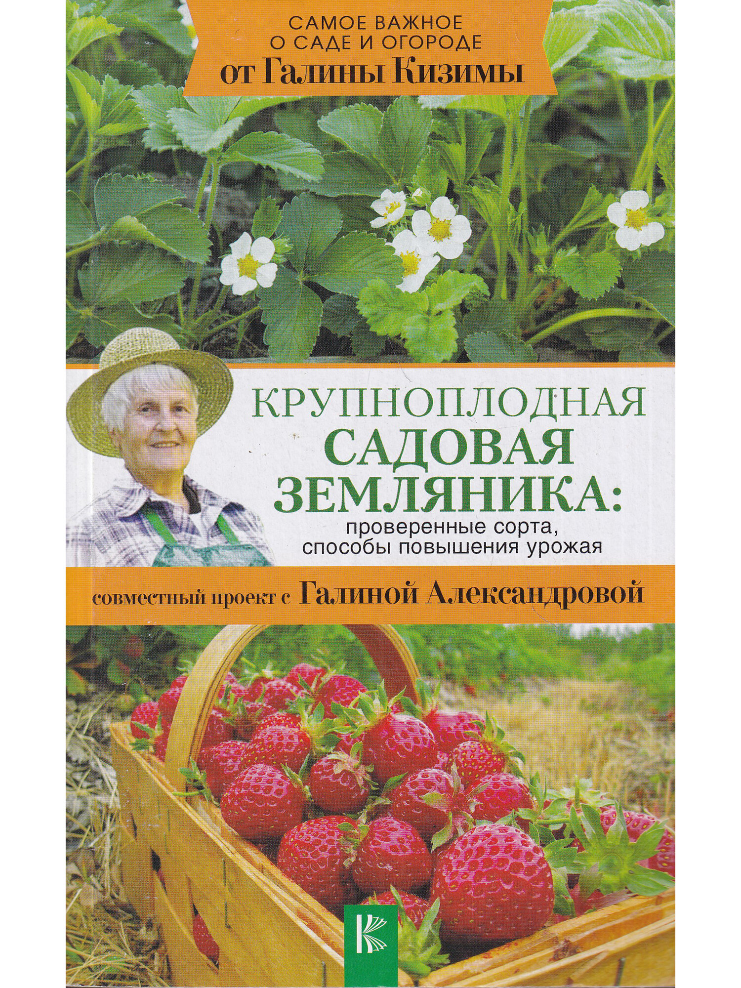 Крупноплодная садовая земляника. Лучшие сорта и современные технологии выращивания