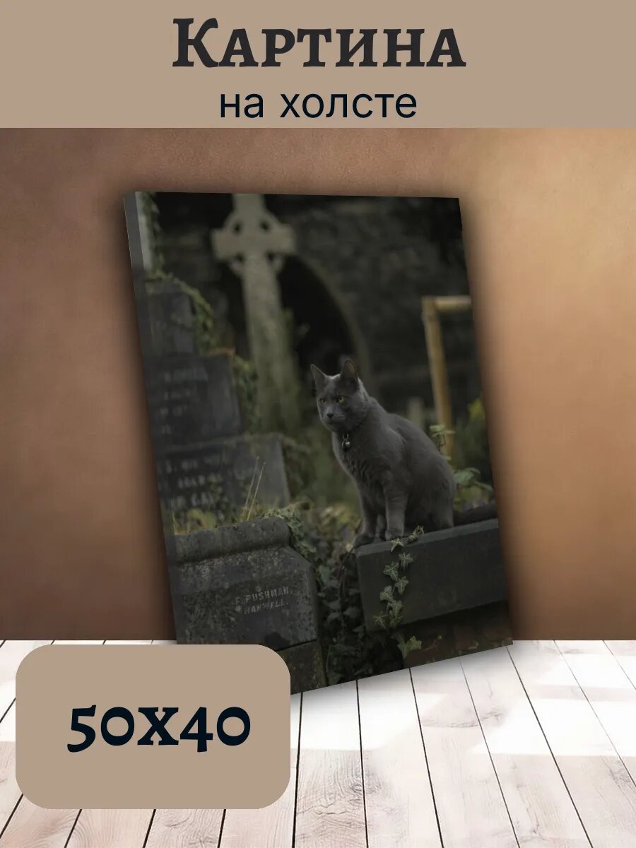Картина Постер Кот Кошка Cat 40x50 серая на кладбище