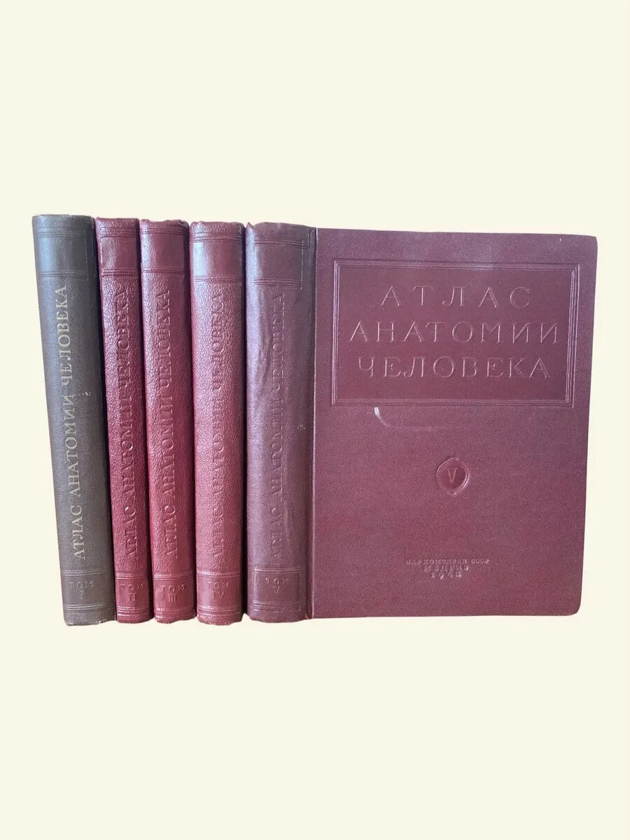 Атлас анатомии человека. Собрание в 5 томах