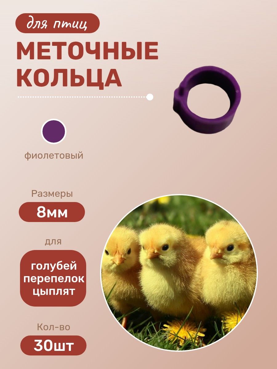 Меточные кольца для цыплят, перепелок, голубей 8мм, 30шт, фиолетовый