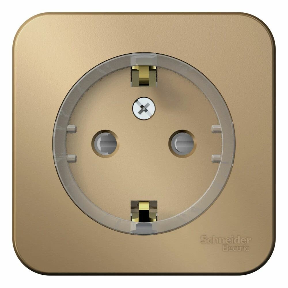 Розетка Systeme Electric Blanca BLNRA111114