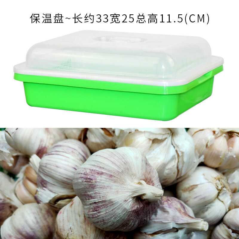 Гидропонные рассады чеснока, лук-шалот, ростки фасоли, поддон для посадки, зеленые ростки, поддон для рассады, беспочвенное выращивание, семена чеснока